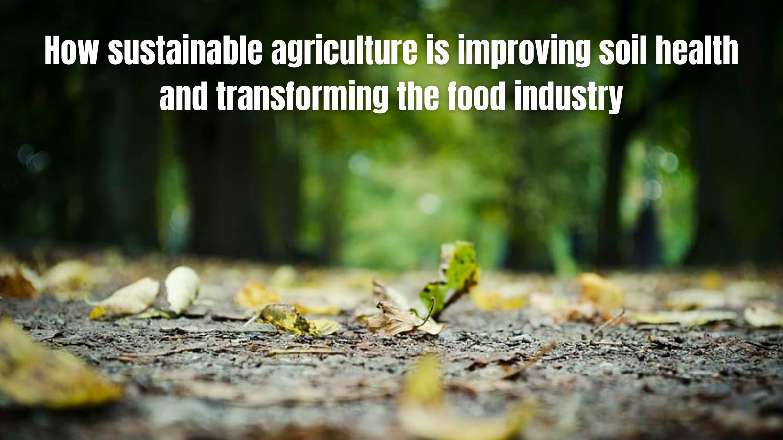 How sustainable agriculture is improving soil health and transforming ...
